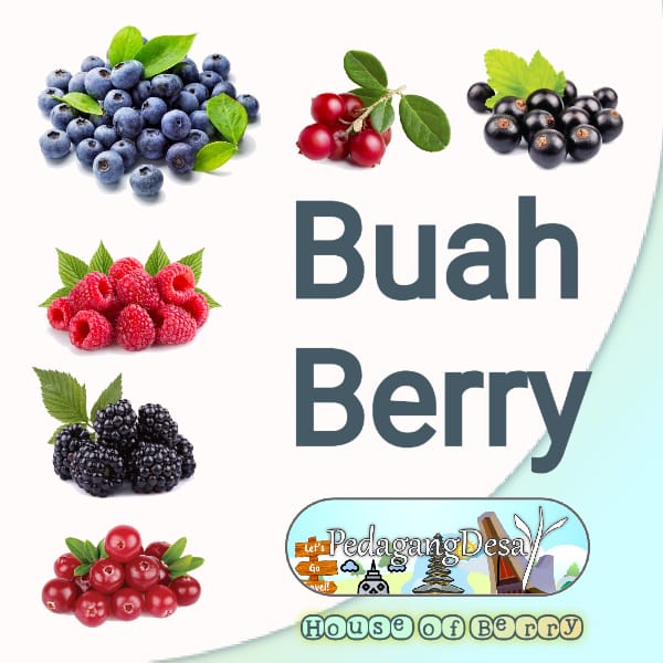 Jual Paket Lengkap Benih Bibit Buah Berry | Blueberry Blackberry Raspberry Cranberry ...