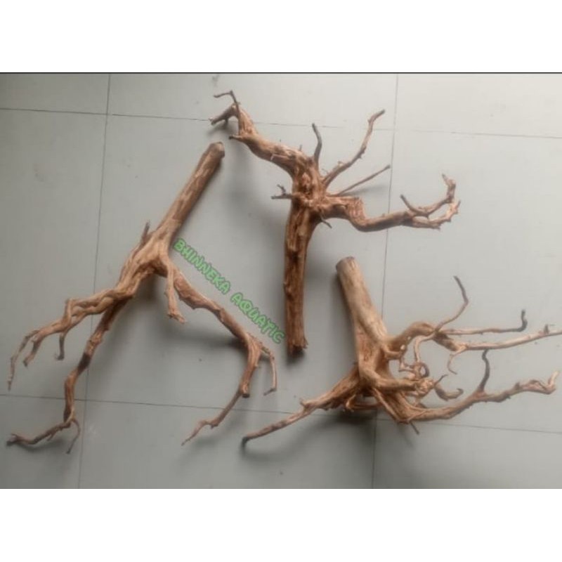 Jual Akar Kayu Rasamala Size XL Aquascape Aquarium | Shopee Indonesia