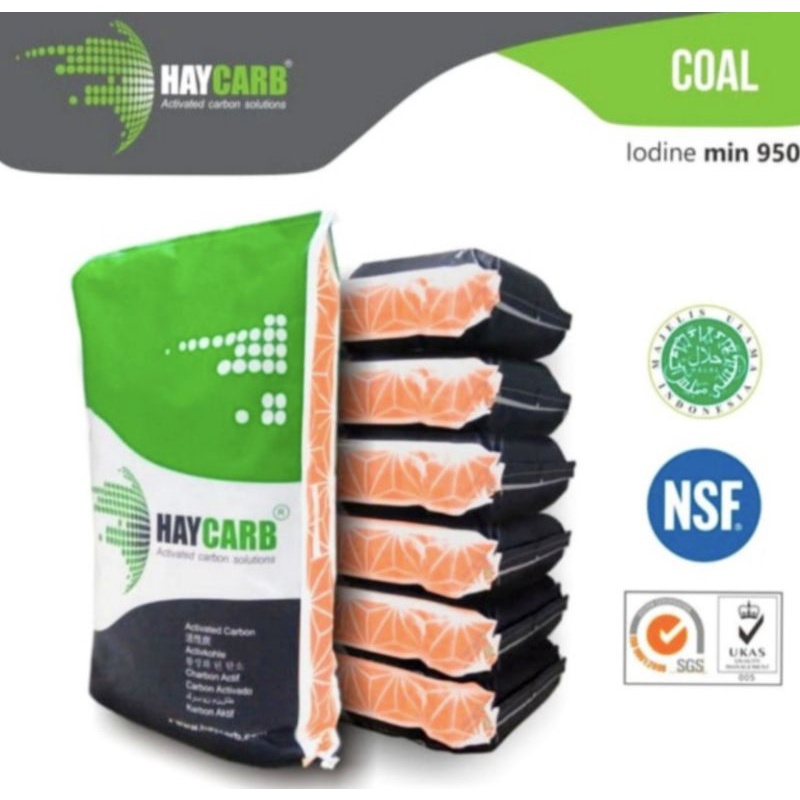 Jual Karbon Aktif Haycarb / Haycarb Granular Aktifvated Carbon | Shopee ...