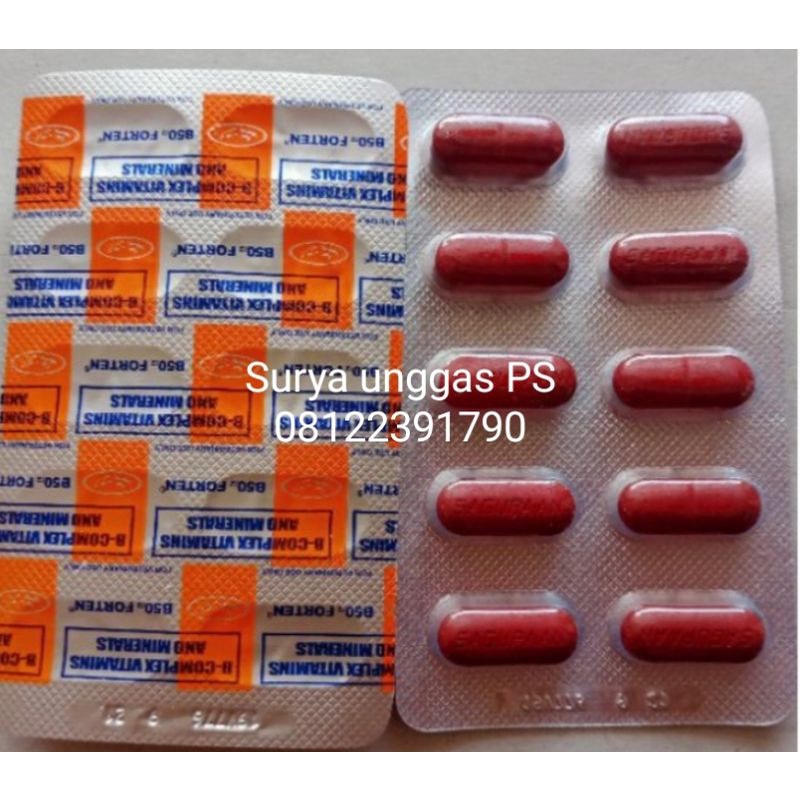 Jual vitamin ayam aduan B50 Forten Original Vitamin Mineral Ayam 200 ...