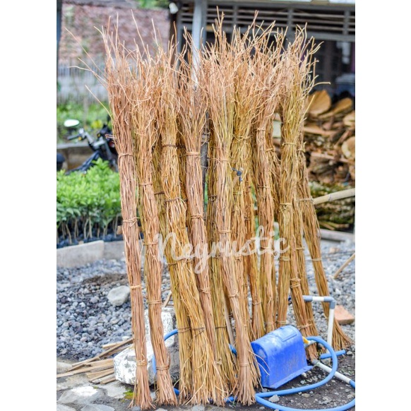 Jual AKAR MANON 100 BATANG // AKAR MENTAU // AKAR ULIR // AKAR RUSTIC ...