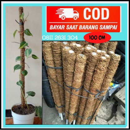 Jual Turus Penyangga Tanaman Rambat Dari Sabut Kelapa 100 cm Harga ...