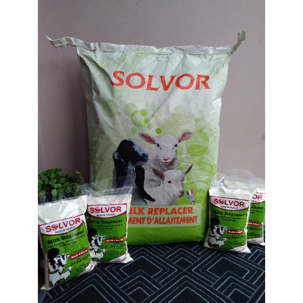 Jual Susu SOLVOR 25kg (1zakCurah)Tanpa plastik | Shopee Indonesia