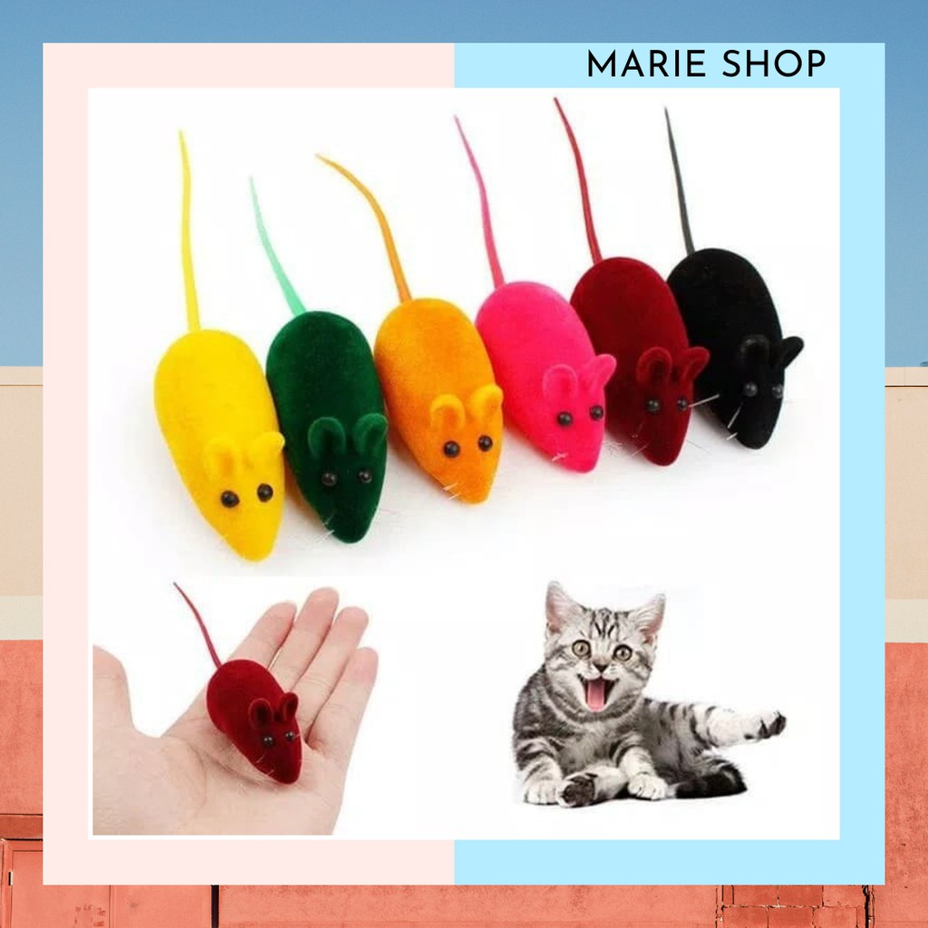 Jual MAINAN TIKUS LUCU UNTUK KUCING BISA BUNYI | Shopee Indonesia