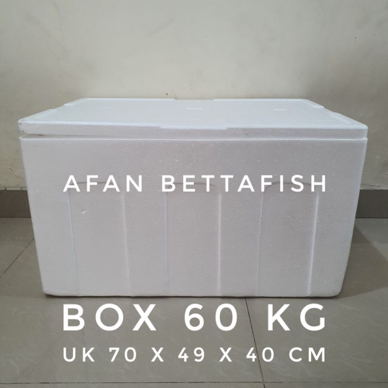 Jual STYROFOAM BOX 60KG 70 x 49 x 40 CM BOX STEREFOAM 60 KG | Shopee ...