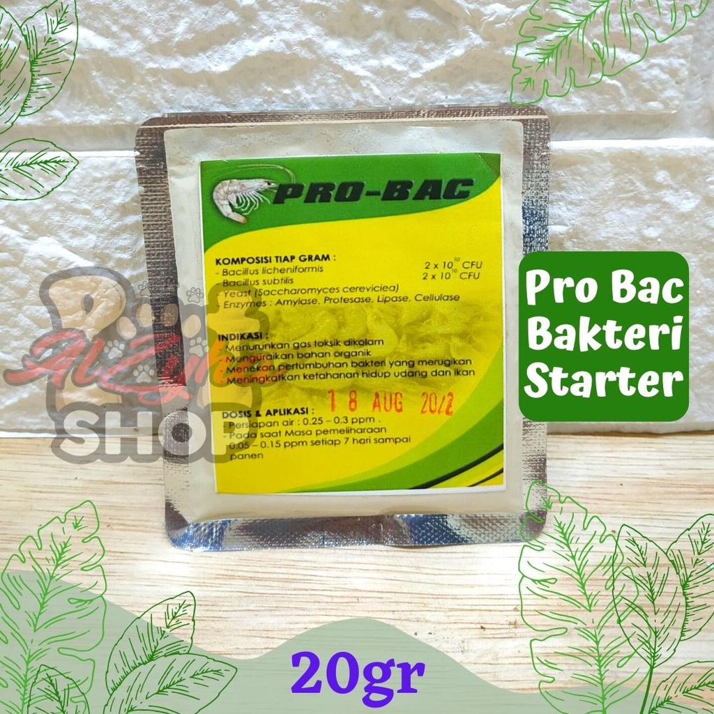 Jual Probiotik Ikan Bacillus Probac repack 20gr BAKTERI STATER | Shopee ...