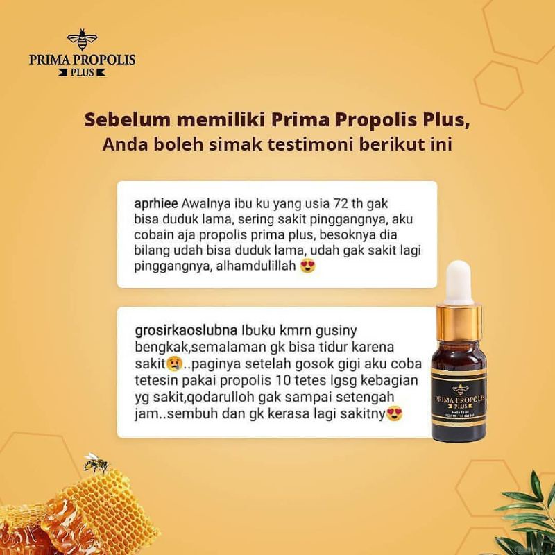Jual Prima propolis plus | Shopee Indonesia