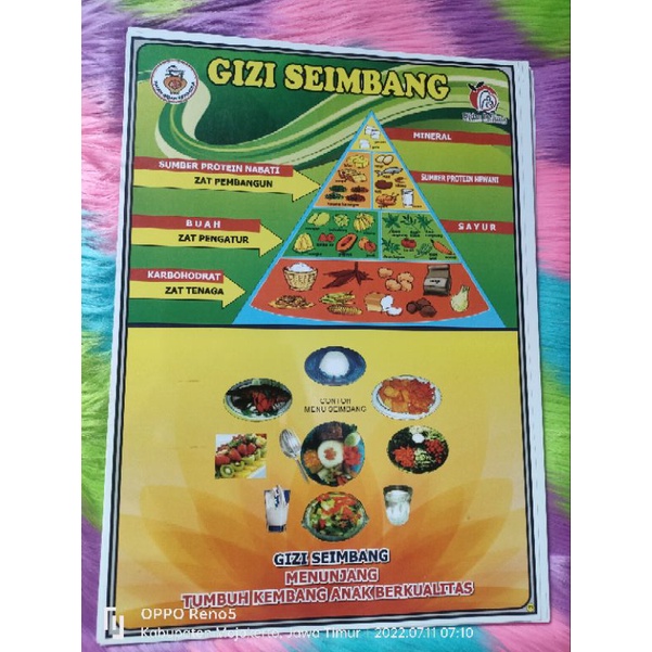 Jual Poster Gizi Seimbang New | Shopee Indonesia