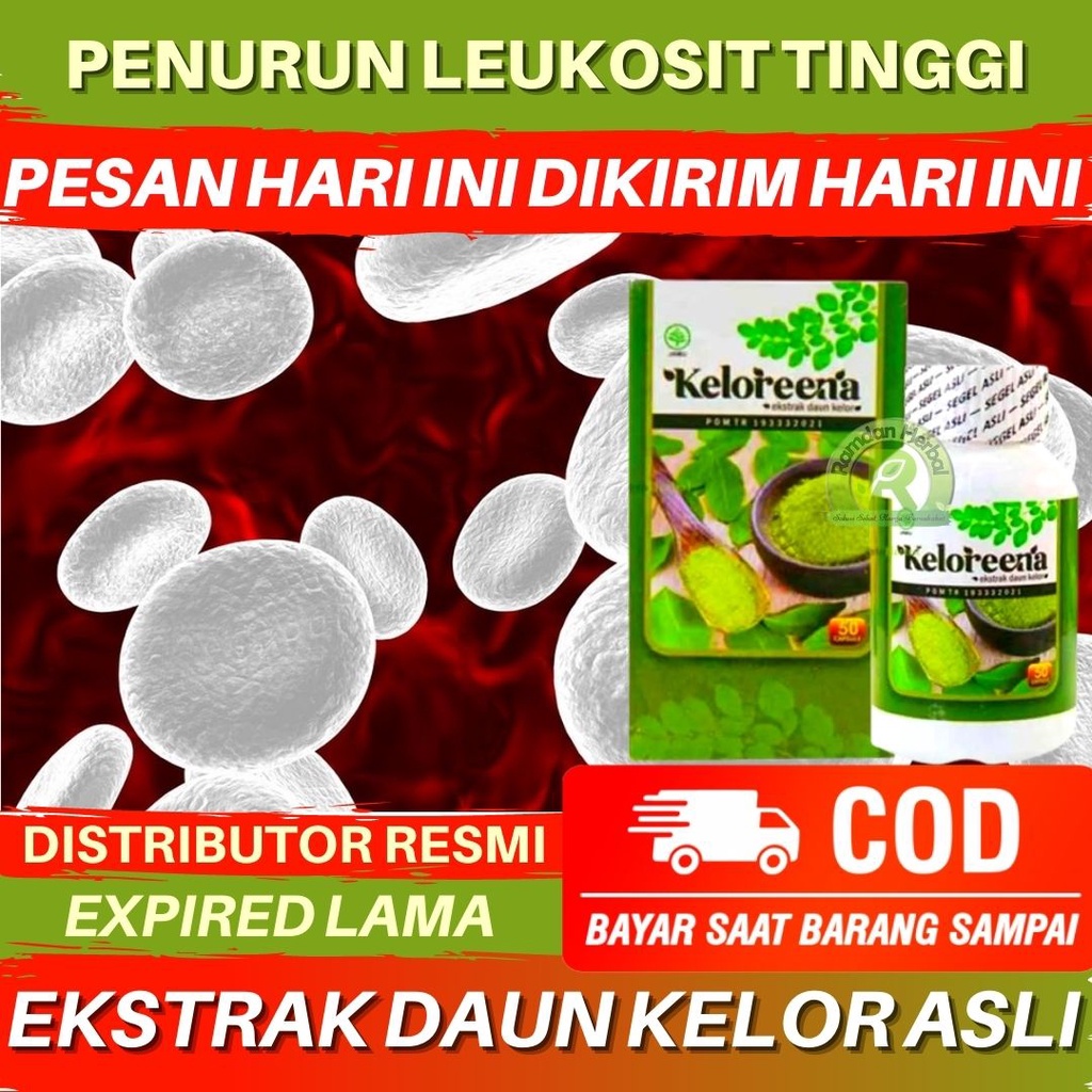 Jual Obat Penurun Leukosit Tinggi Untuk Lansia Demam Mudah Memar ...