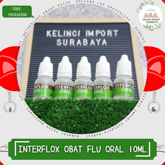 Jual OBAT FLU Hewan Interflox Oral Gangguan Saluran Pernafasan Kelinci ...