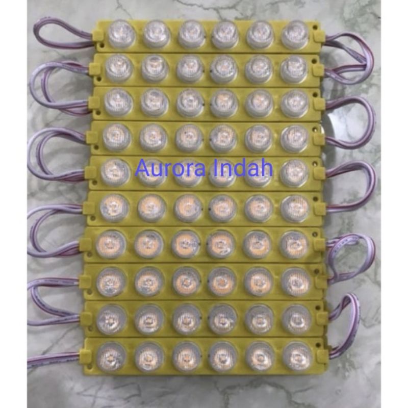 Jual Lampu LED Modul 6Mata SMD DC 12 Volt Dan 24 Volt Waterproof 6Mata ...