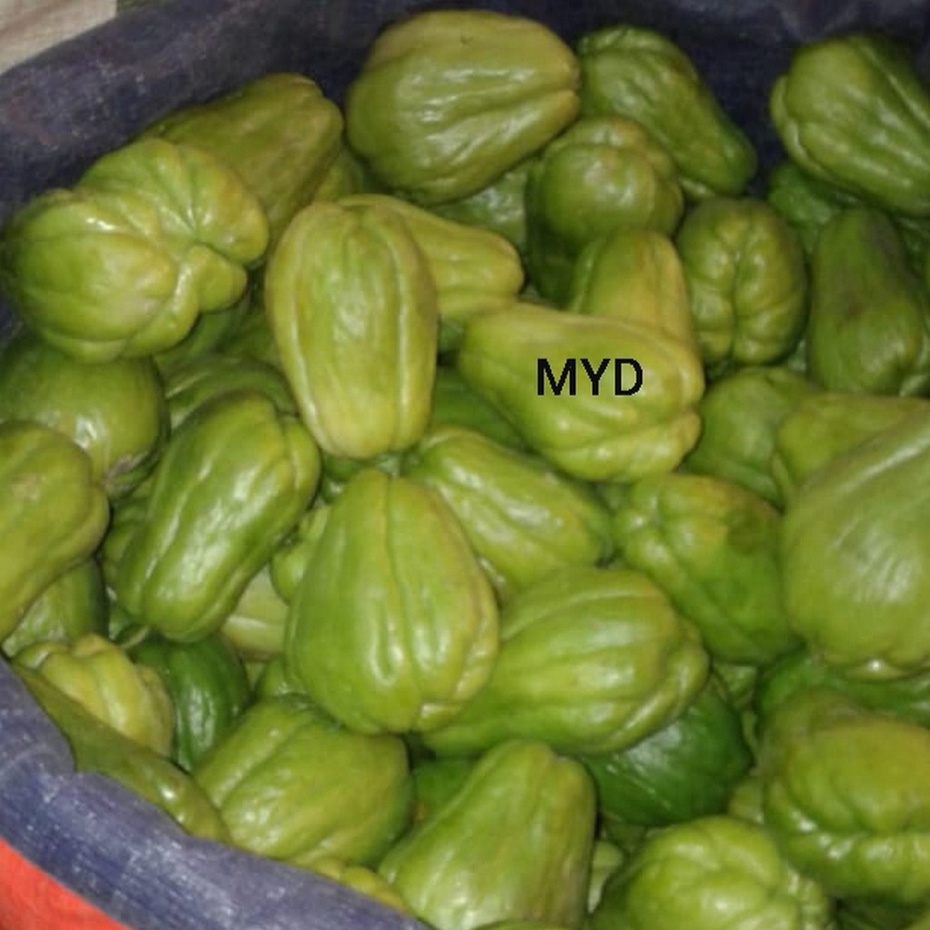 Jual [Bumi Mart] Labu Siam SEGAR | BESAR | LALAP 1KG | Shopee Indonesia