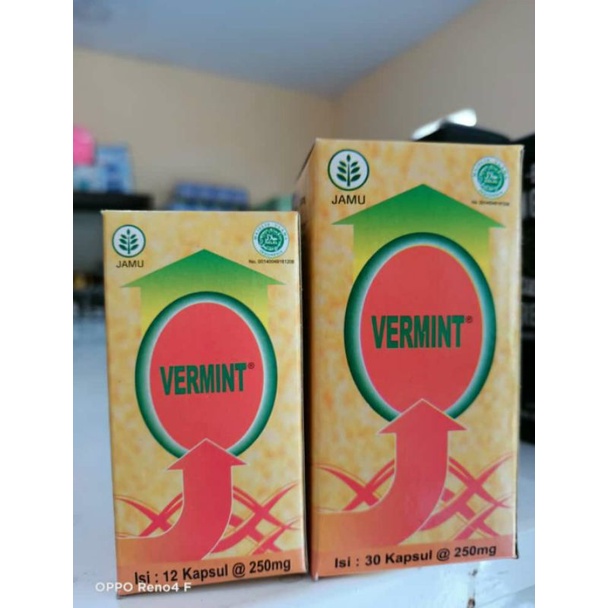 Jual VERMINT | OBAT TIPES | OBAT PENURUN DEMAM | KAPSUL CACING | Shopee ...