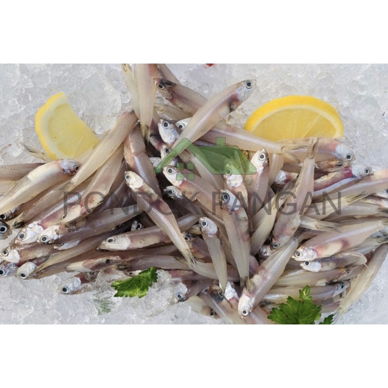 Jual Ikan Teri basah fresh 500gr Frozen food | Shopee Indonesia