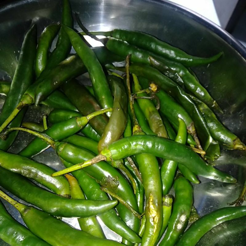 Jual CABE / LOMBOK IJO BESAR segar 250 gram | Shopee Indonesia