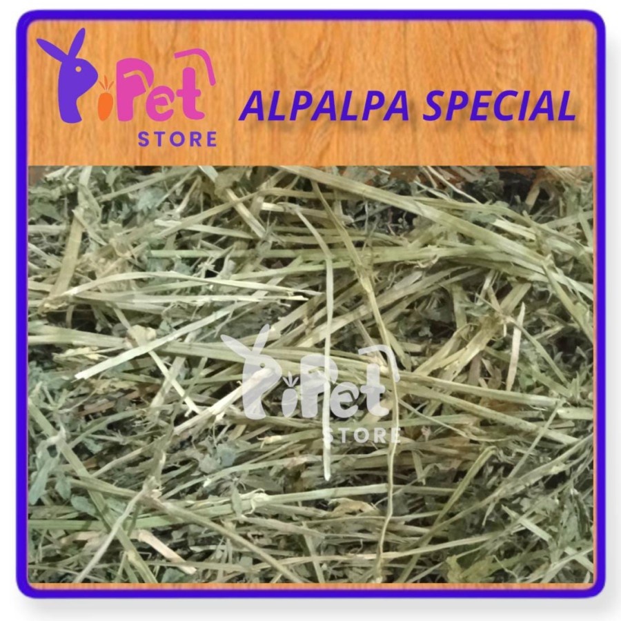 Jual Rumput ALFALFA HAY Merk SPECIAL HAY Kemasan 1 kg Makanan Kelinci ...