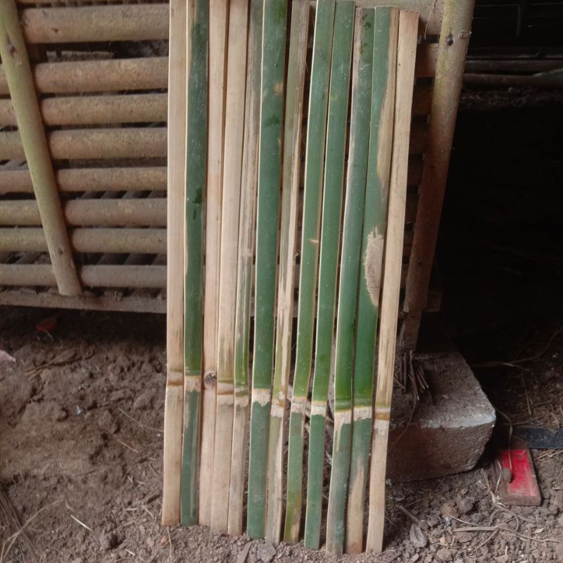 Jual bambu wilahan,ajir tanaman,bambu sisikan | Shopee Indonesia