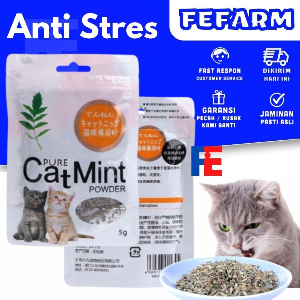 Jual Catnip Camilan Kucing Catmint Menthol Snack Makanan Cat Kitten ...