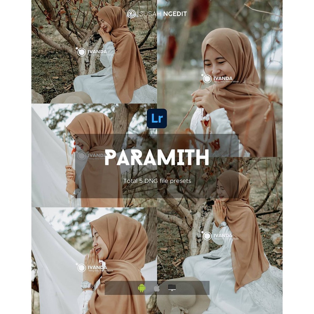 Jual PRESET LIGHTROOM PREMIUM / PARAMITH (PC / IOS / Android) | Shopee ...
