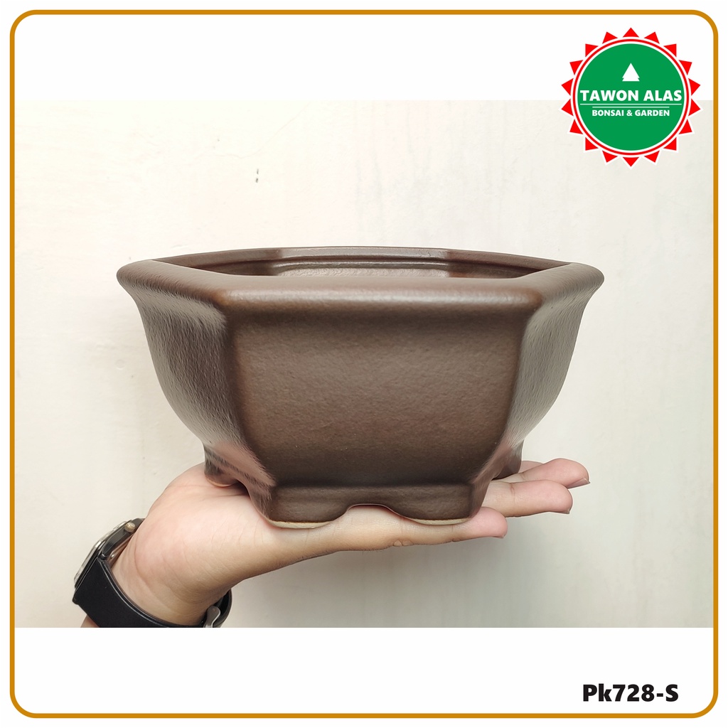 Jual Pot Bonsai Keramik Segi Enam | Shopee Indonesia