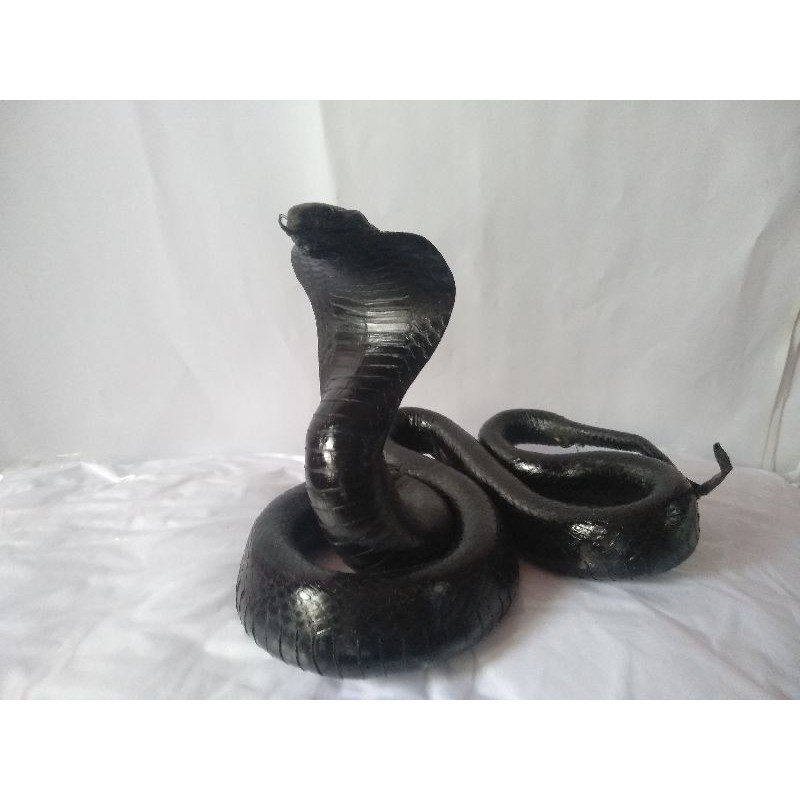 Jual patung ular cobra asli warna hitam model 1A | Shopee Indonesia