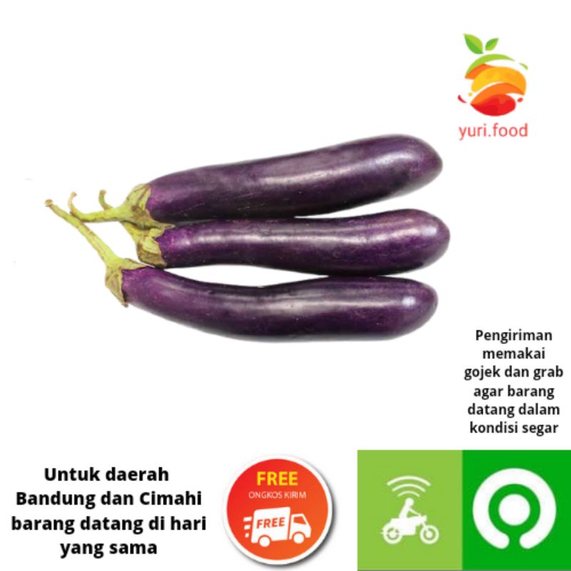 Jual Terong ungu 500gram (Cimahi satu hari sampai) | Shopee Indonesia