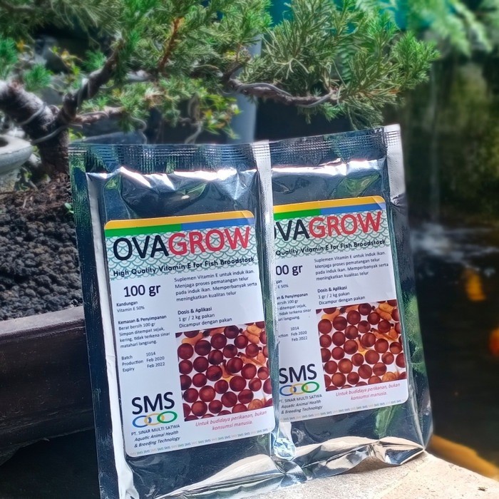 Jual VITAMIN IKAN VITAMIN E BUAT INDUKAN IKAN PENYUBUR TELUR OVAGROW ...
