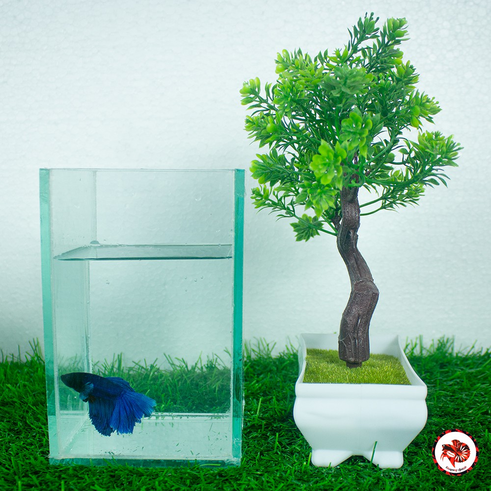 Jual SOLITER 10 X 10 X 15 cm | Shopee Indonesia