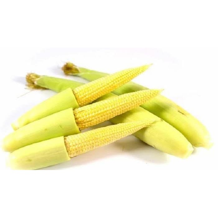 Jual Jagung Muda | Acar | Baby Corn [ Harga Per KG ] | Shopee Indonesia