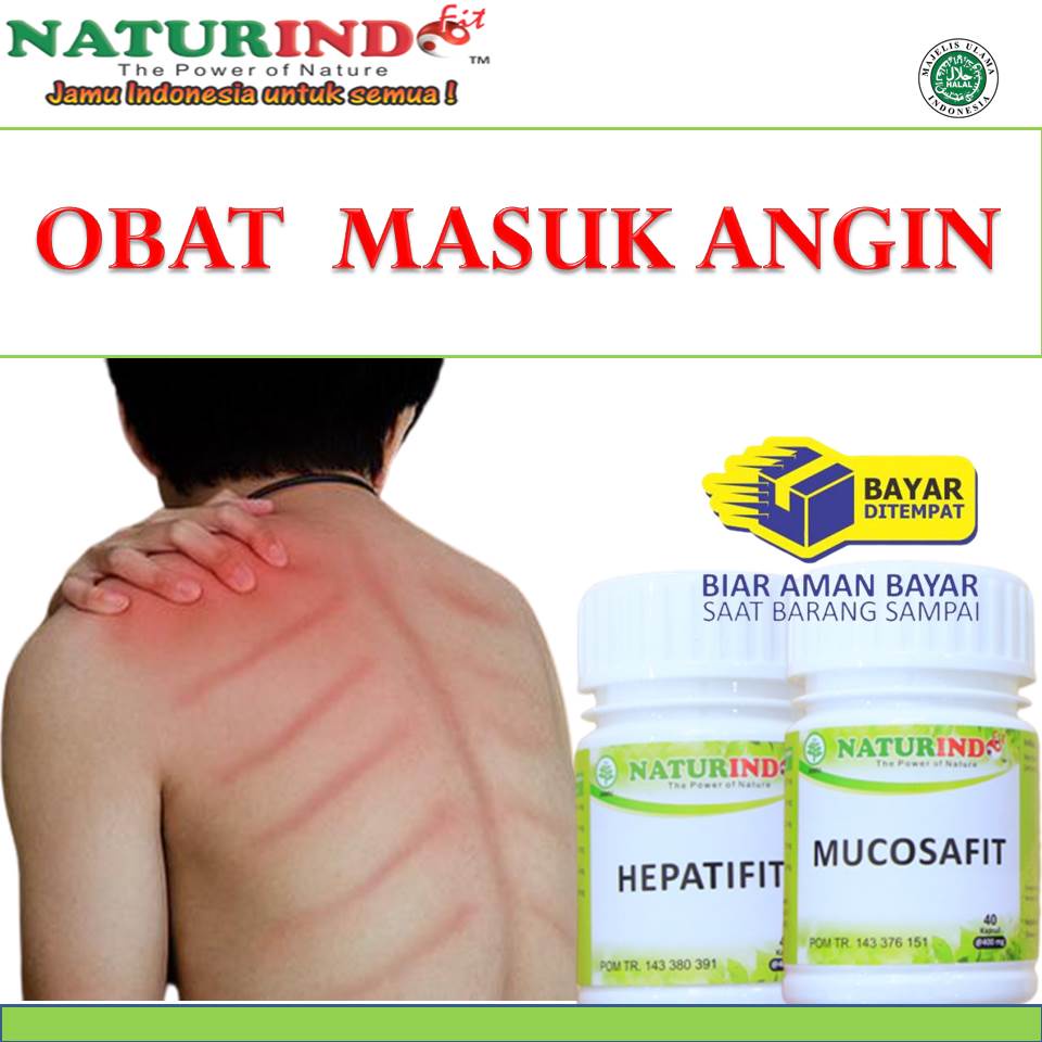 Jual Obat Maag Liver Mudah Sakit Mudah Meriyang Masuk Angin Sering ...