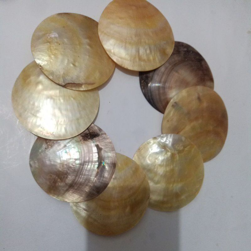 Jual KULIT KERANG MUTIARA | Shopee Indonesia