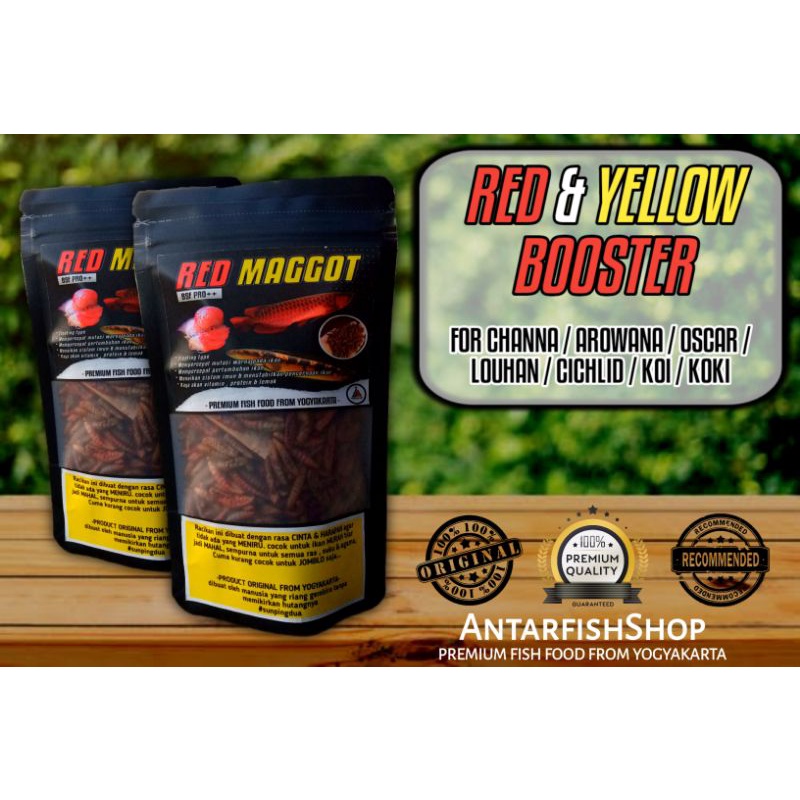 Jual pakan ikan RED MAGGOT BSF PRO ++ (extra beta carotene) | Shopee ...