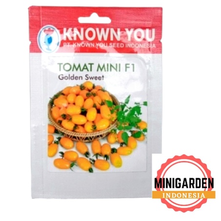 Jual TOMAT MINI GOLDEN SWEET PACK KECIL 40 Benih biji Tomat Cherry f1 ...