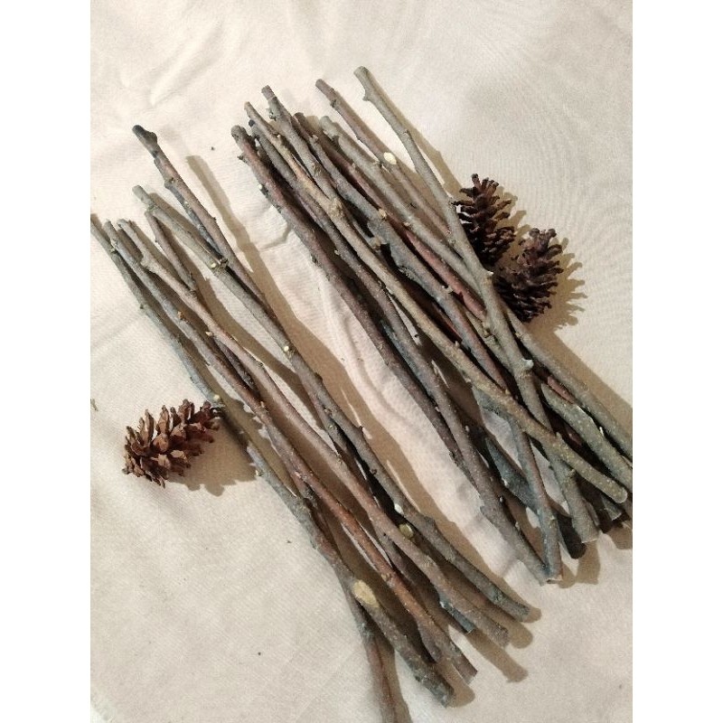 Jual ranting kering lurus besar kokoh 40 cm (beli banyak pre order ...