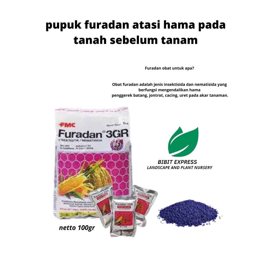 Jual pupuk furadan recpak 100 grm/pupuk tanah sebelum menanam tanaman ...