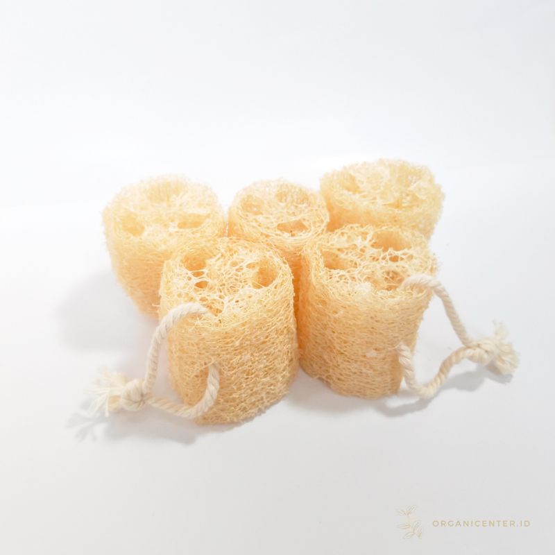 Jual Loofah Sponge Mini / Spons Gambas Natural Alami / Spons Sabut Cuci ...