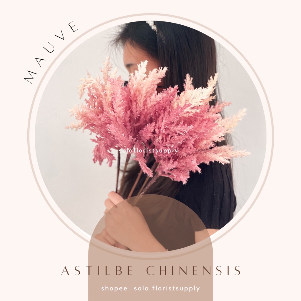 Jual ASTILBE CHINENSIS ARTIFICIAL Bunga Astilbe Tangkai Panjang ...