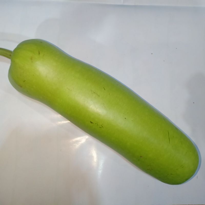 Jual Labu Air 1 pc | Shopee Indonesia