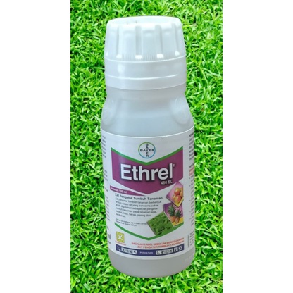 Jual ETHREL 480 SL ZAT PENGATUR TUMBUH TANAMAN 100 ML | Shopee Indonesia