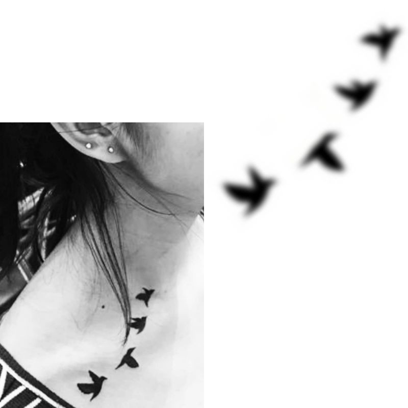 Jual Tato Temporer Tato Burung terbang Tato Flying Bird Tato Burung ...