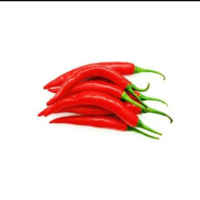 Jual Cabe merah besar - 250 gram | Shopee Indonesia