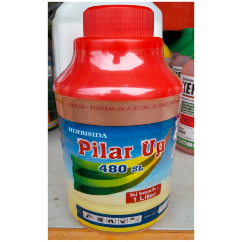 Jual Pilar Up ( 1 liter ) | Shopee Indonesia