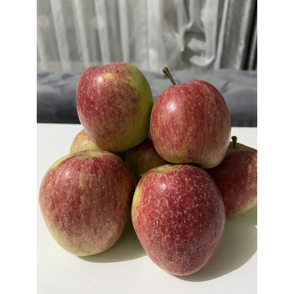 Jual apel ana grade A-Bper 1kg isi 1 biji 10-13biji per kilo (rasa asam ...
