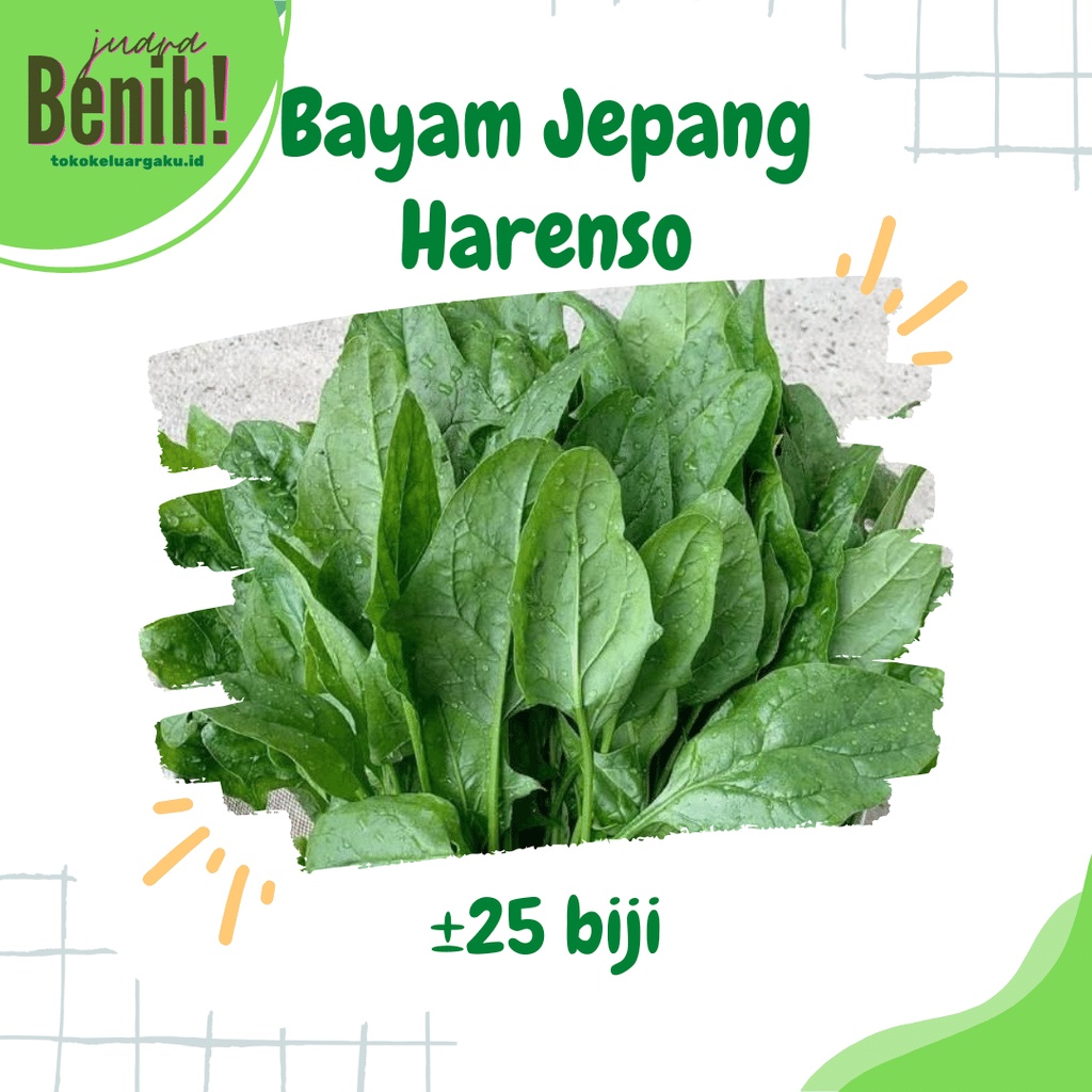 Jual Jual 25 Biji Benih Bayam Jepang F1 Hibrida Horenzo Bibit Sayuran ...