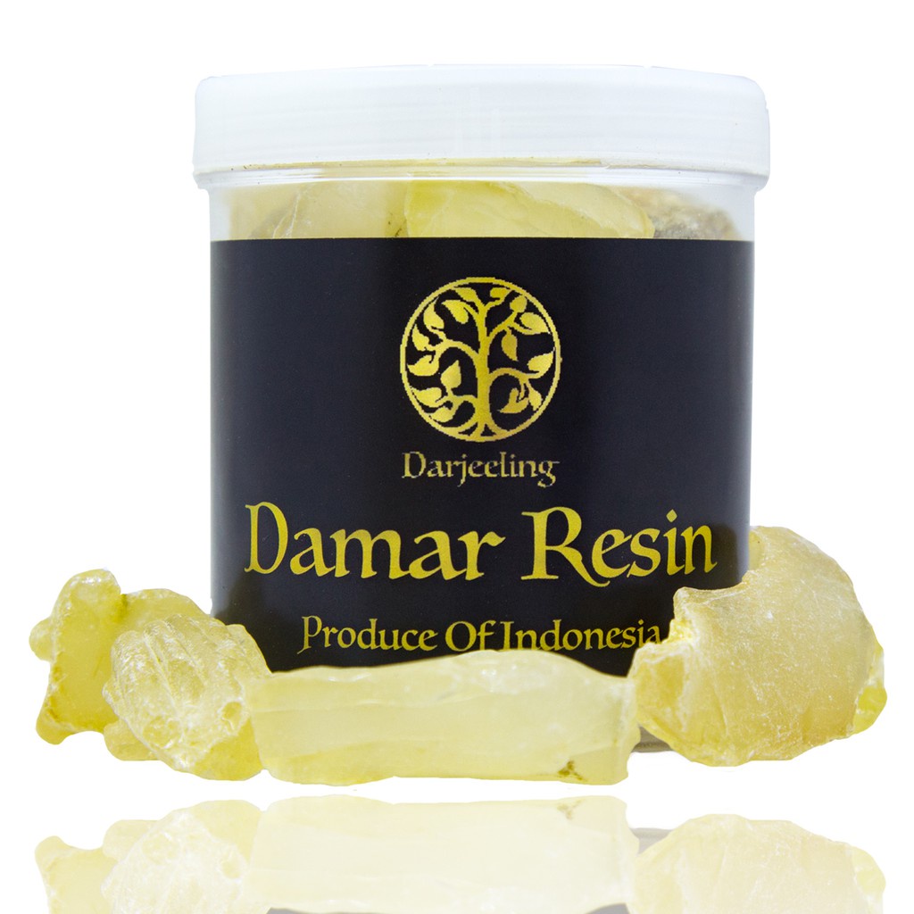 Jual Darjeeling Getah Damar Mata Kucing Resin / Kemenyan Bakhoor Bakhur ...