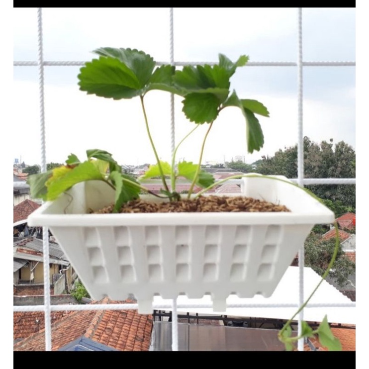 Jual pot argo 02, panjang 25 cm, pot dinding, pot tempel tanaman ...