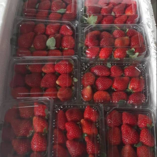 Jual Buah Strawberry / Stroberi Grade AB (pack 250gr) | Shopee Indonesia