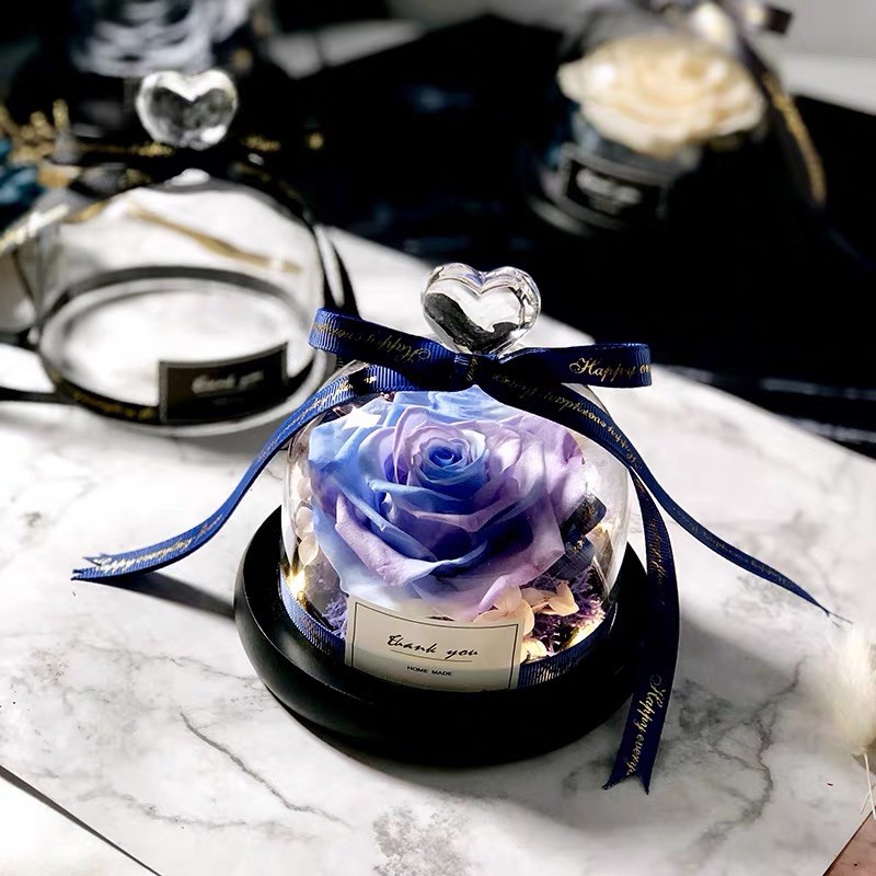 Jual DRIED FLOWER IMPORT GLASS DOME PRESERVED ROSE LED BUNGA ROSE ...