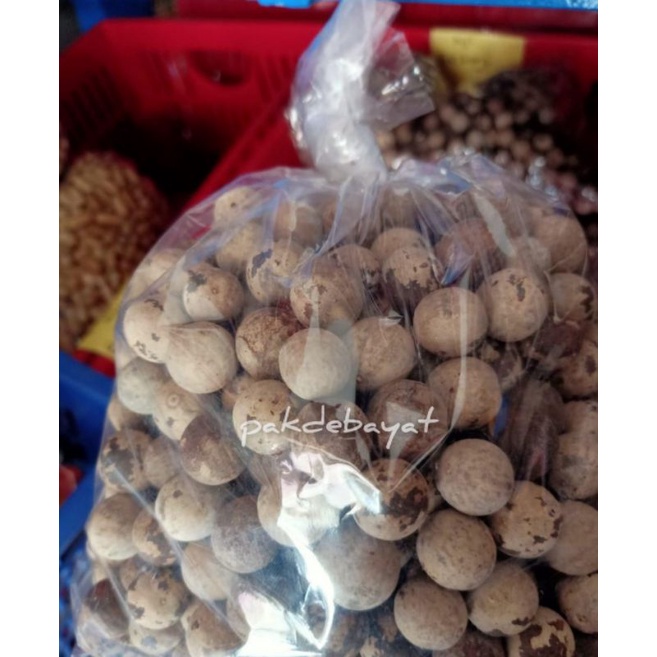 Jual Biji Rotan, Bunga Pinus, Biji Cemara, Jinitri (Biji-Bijian kiloan ...