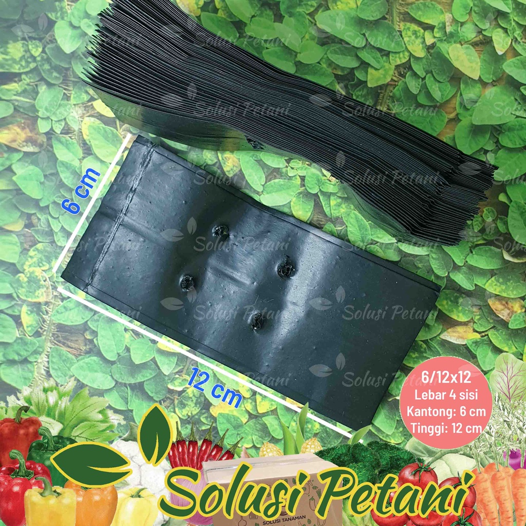Jual Polibag 12 x 12 cm (50 Pcs) Polybag Polibek Plastik Semai Kantong ...